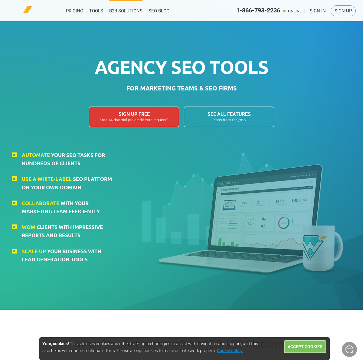 SEO Tools For Agencies | WebCEO